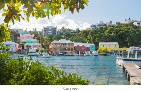 Brighten up your Zoom backdrops with a little escape to Bermuda ...