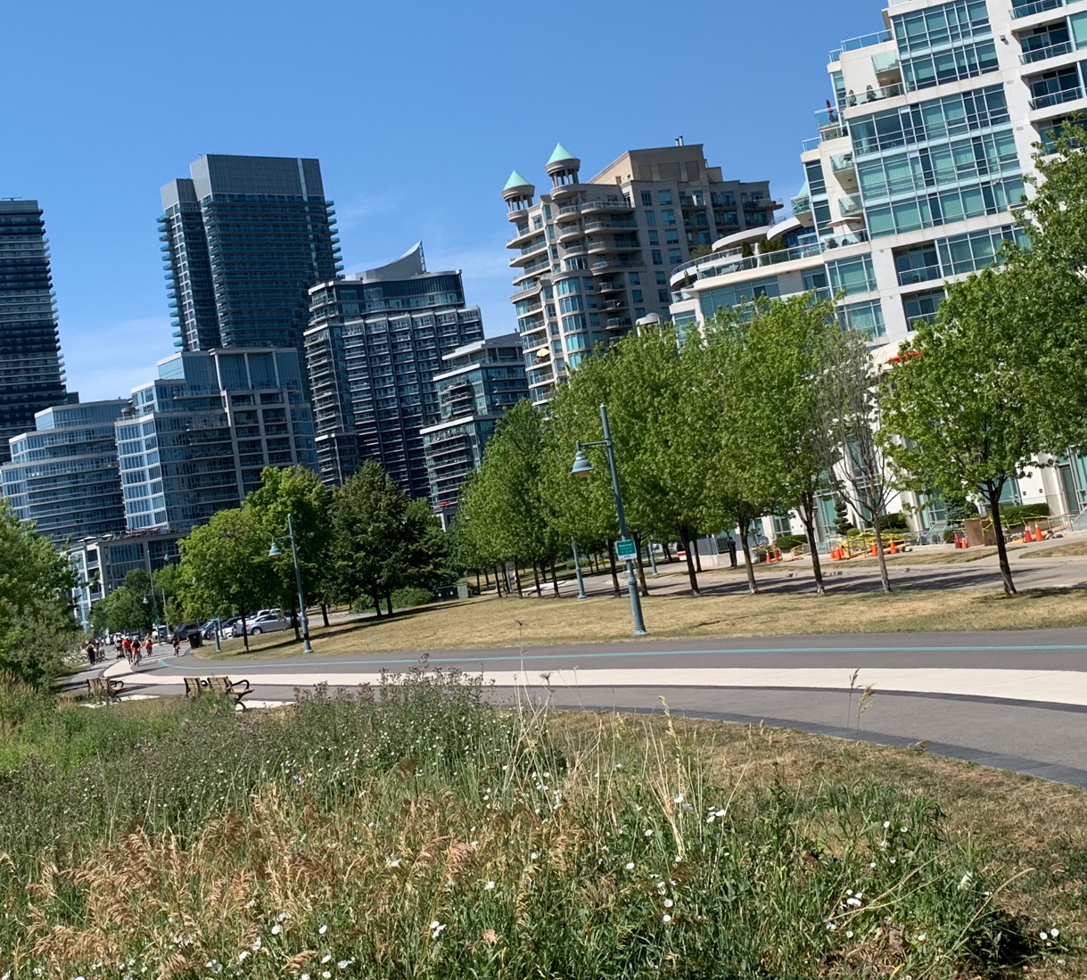 Toronto Waterfront Marathon cancelled, going virtual - Toronto Times