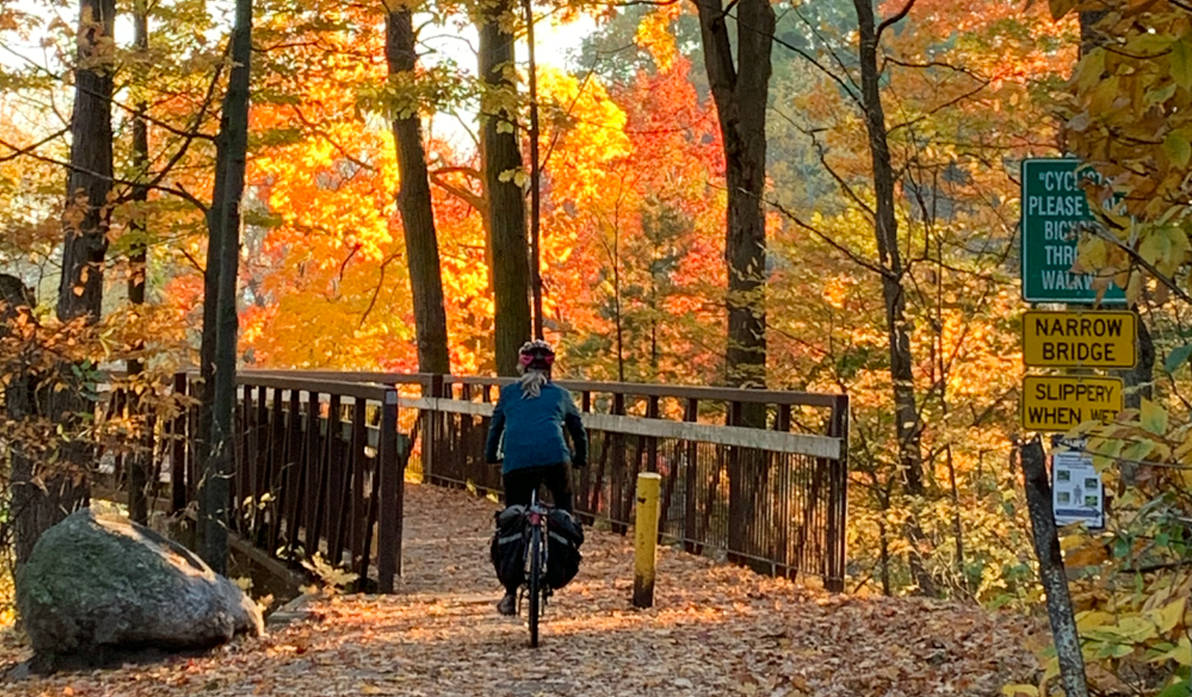 10 Best Places to see the Fall Colour in Toronto - Toronto Times