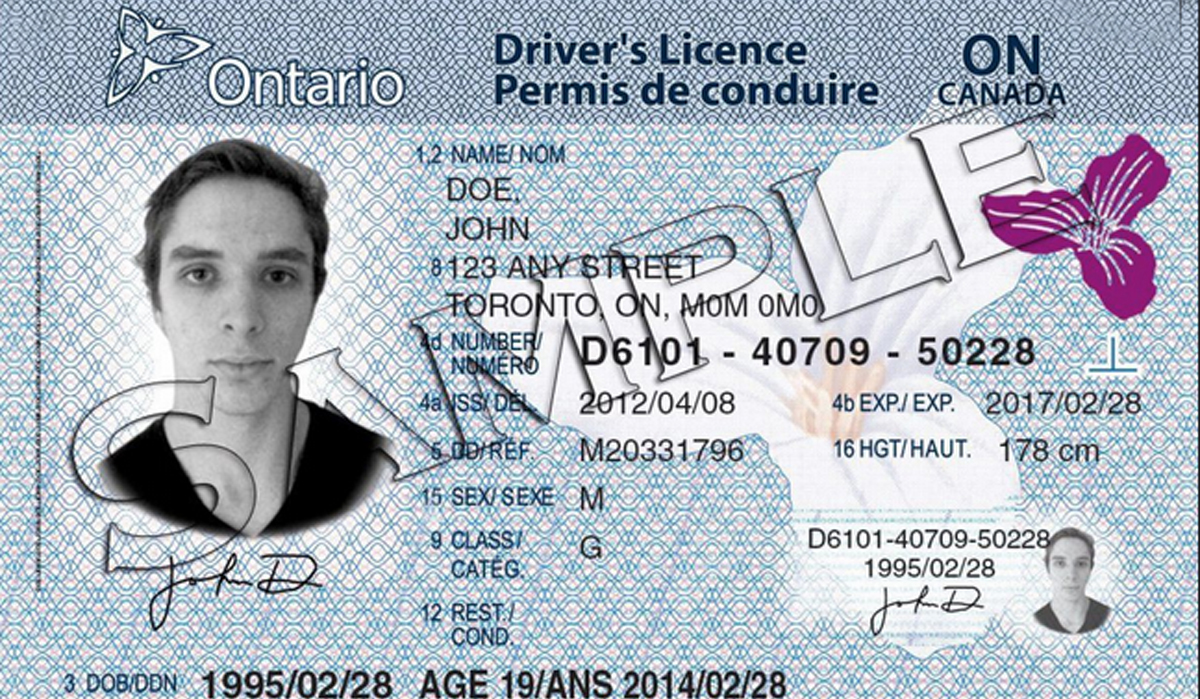 Different Types Of Licenses In Ontario Lasopaec