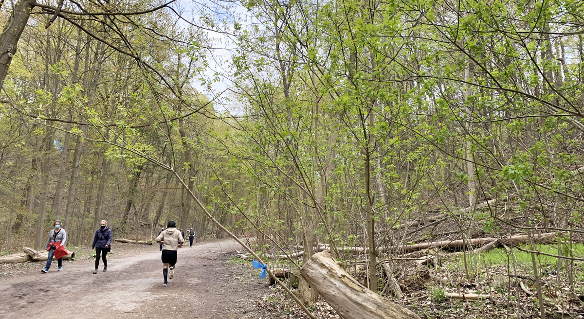 Toronto weekend walking ideas: Best places to walk in Toronto - Toronto ...