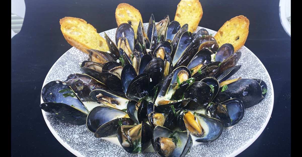 Holiday Recipe - A simple Creamy PEI Mussels Dish from Chef Schulz ...