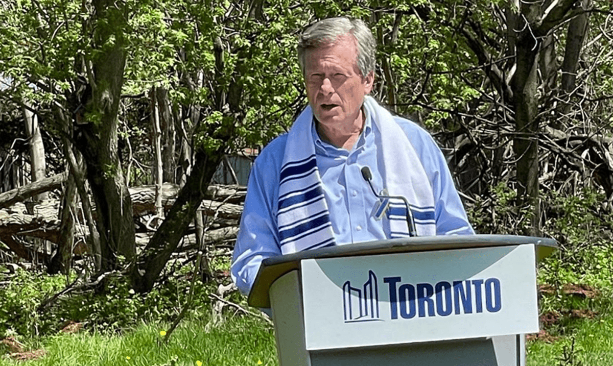 Toronto's official tree has been revealed by Mayor Tory - Toronto Times