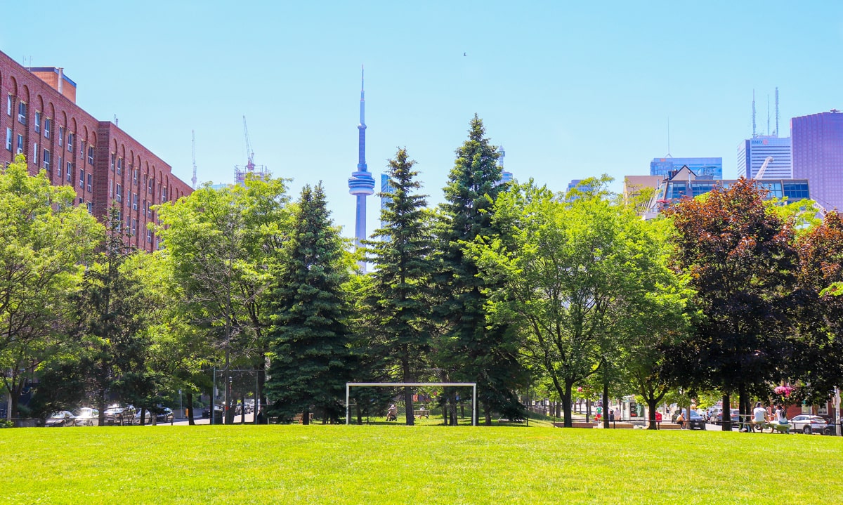 There & Back Again – The Canadian World Cup Adventure - Toronto Times