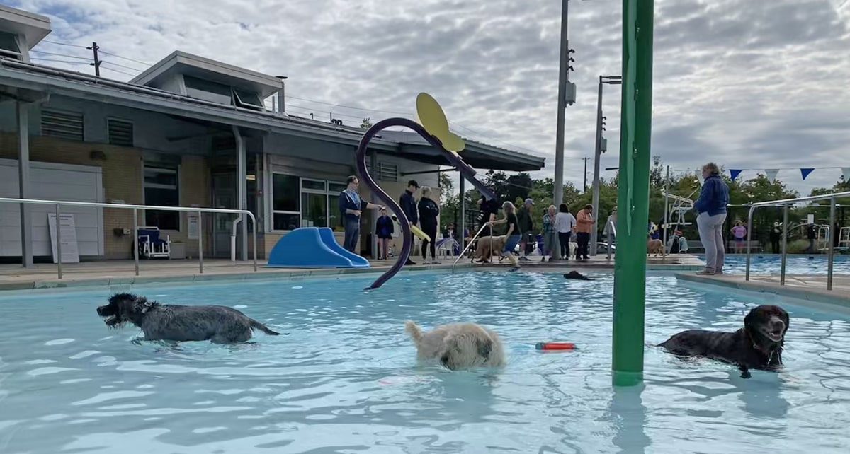 City of Toronto marks the final long weekend of summer at outdoor ...