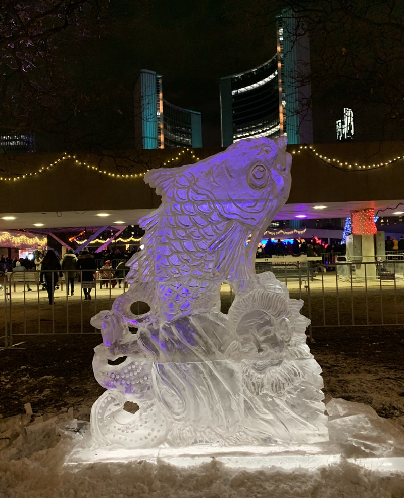 Toronto's giant Christmas tree arrives at Nathan Phillips Square, City ...