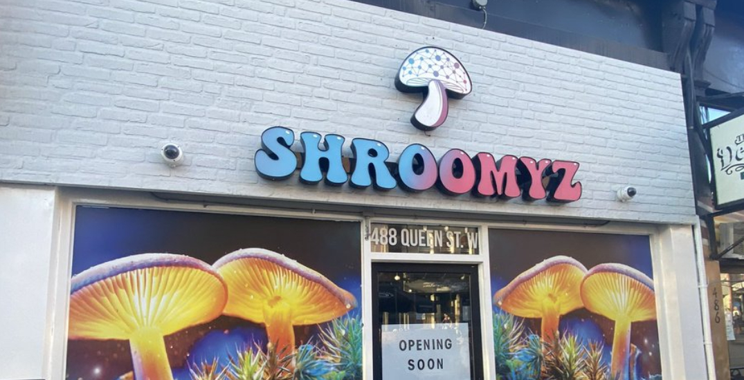 Magic Mushroom dispensaries in Toronto - What are your options ...