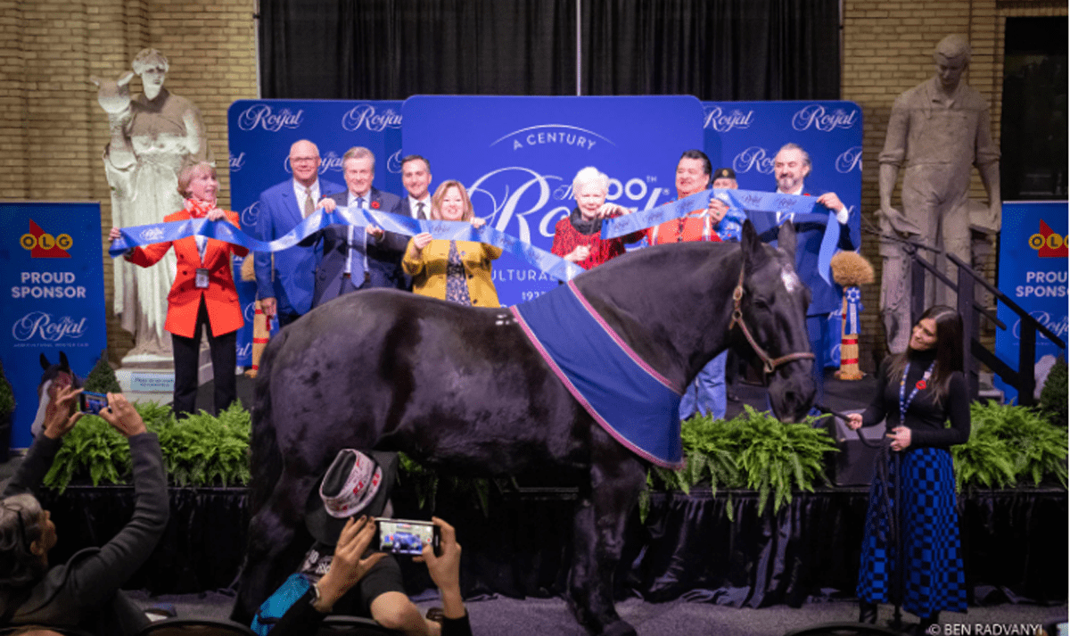 What's happening at The Royal winter fair today in Toronto - Nov. 5 ...