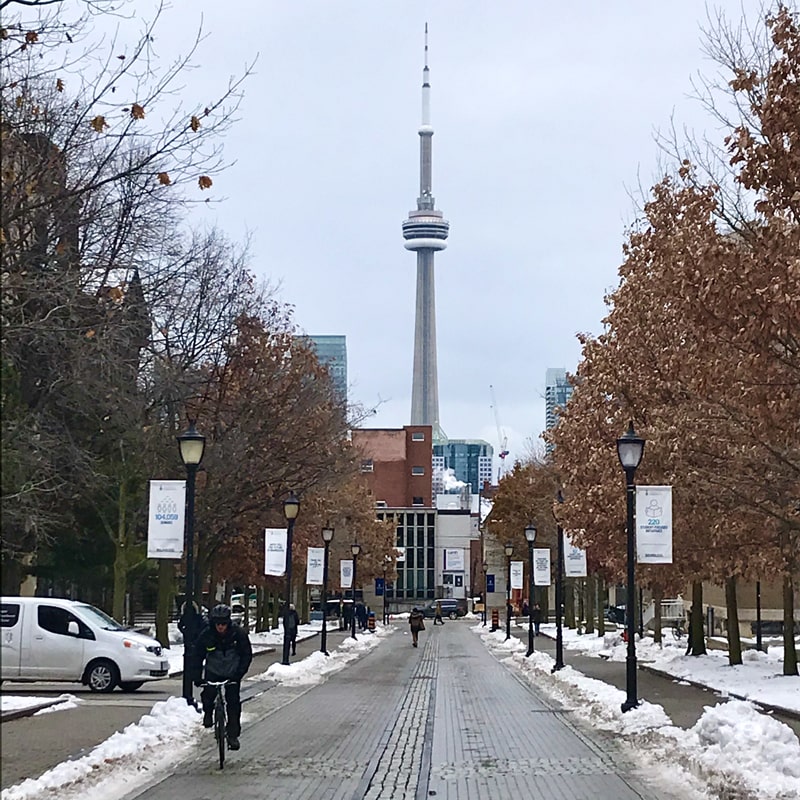 Where's the best place to ride an eBike in Toronto? - Toronto Times