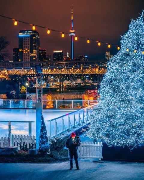 Christmas Market Toronto Guide 2025: Your Festive Adventure - Toronto Times
