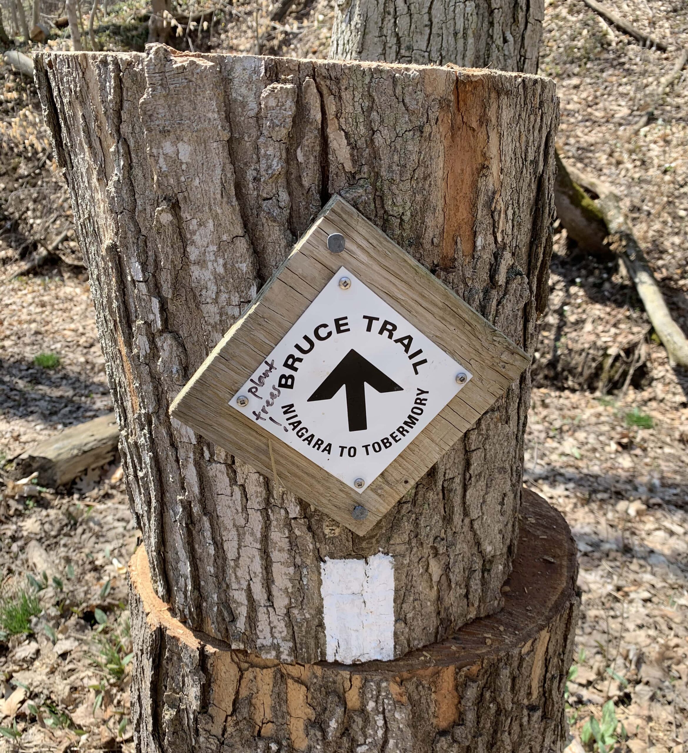 100 more boot brush stations coming to the Bruce Trail - Toronto Times