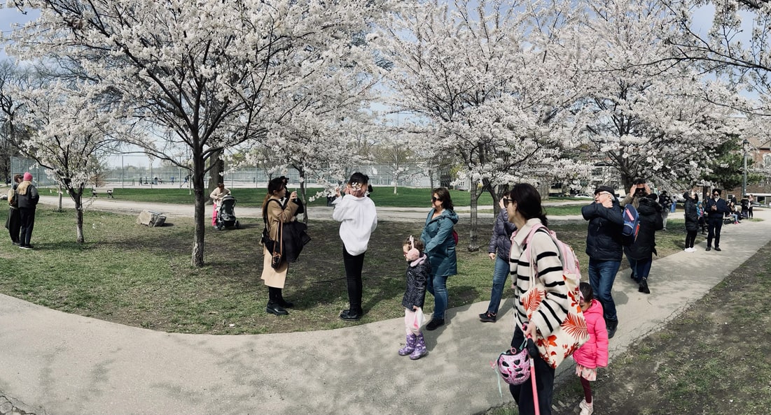 7 Best Parks in Toronto you MUST visit right now - Toronto Times