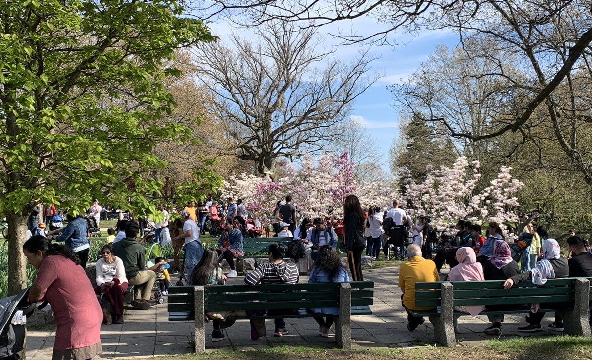 Getting around Toronto's High Park will start to get easier starting ...