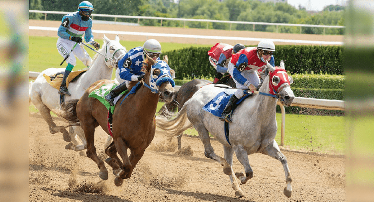 A Journey Through the History of Sports Betting in Canada - Toronto Times