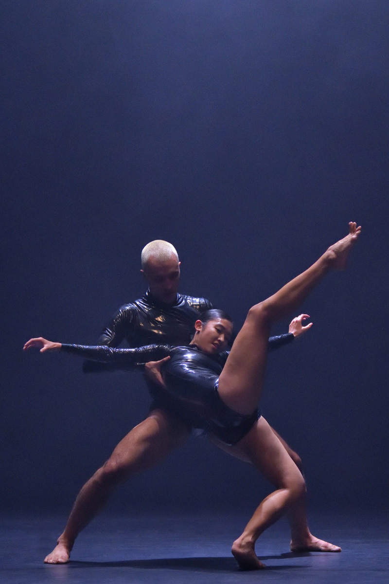 Toronto's Fall for Dance North Unveils 9th Annual Festival Line-up ...