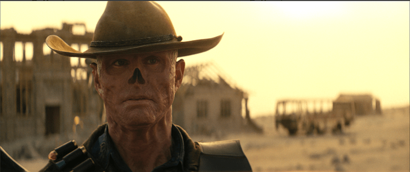 Mysterious Giant Cockroach on Toronto's Waterfront! - Toronto Times