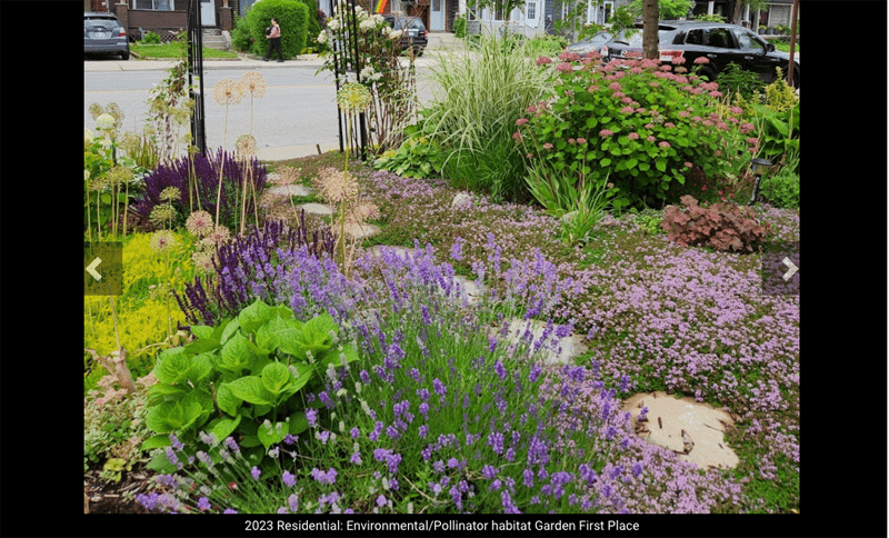 Toronto Garden Contest spotlights the city's best gardens