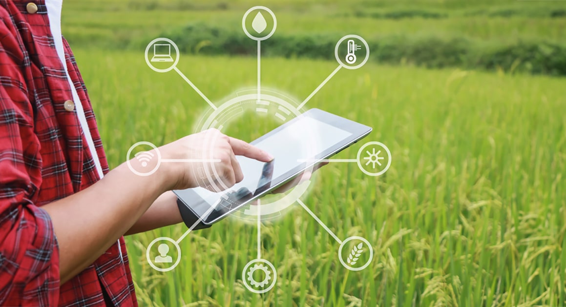 The Evolution of Herbicides to Modern Agriculture