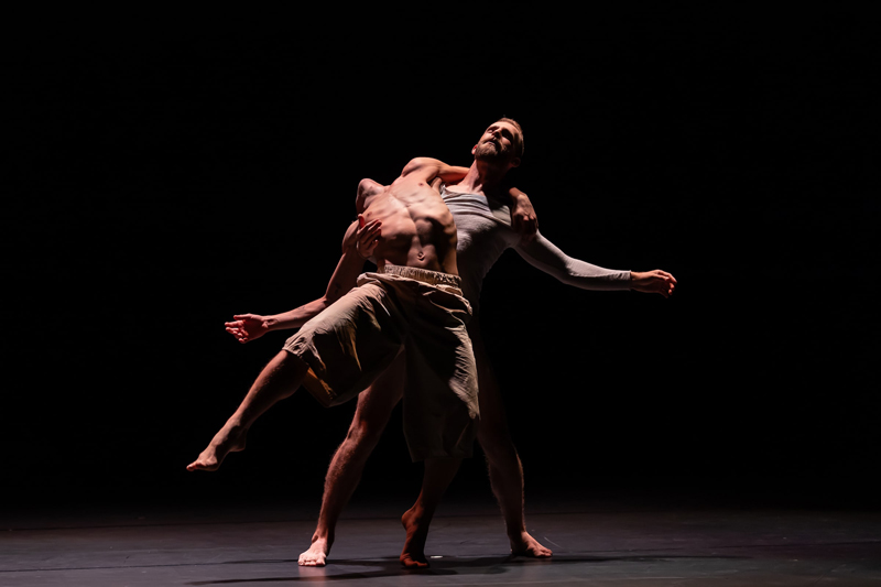 Here is the lineup for the Fall for Dance North 10th Annual Festival ...