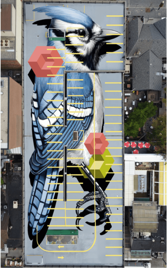 Gigantic Blue Jay mural lands in Yorkville Parking Lot - Toronto Times