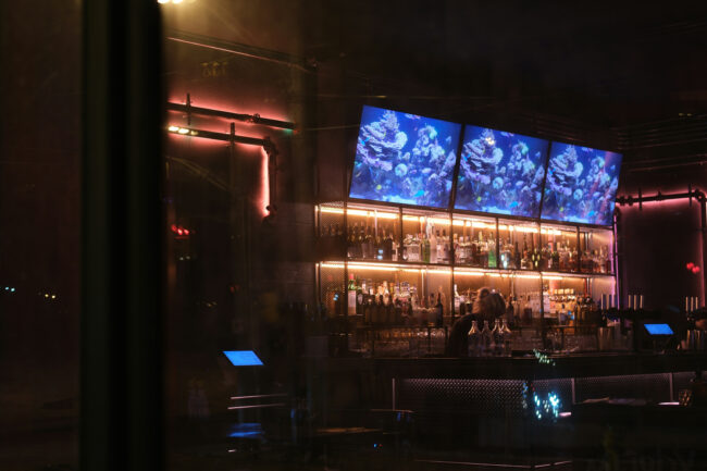 19 Best Bars in Toronto: Where Locals Actually Drink