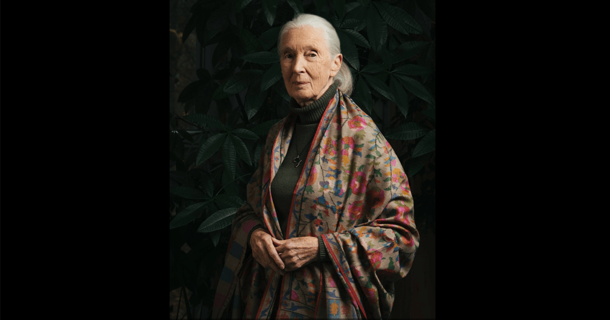 Dr. Jane Goodall, Renowned Ethologist, Conservationist, and Animal ...