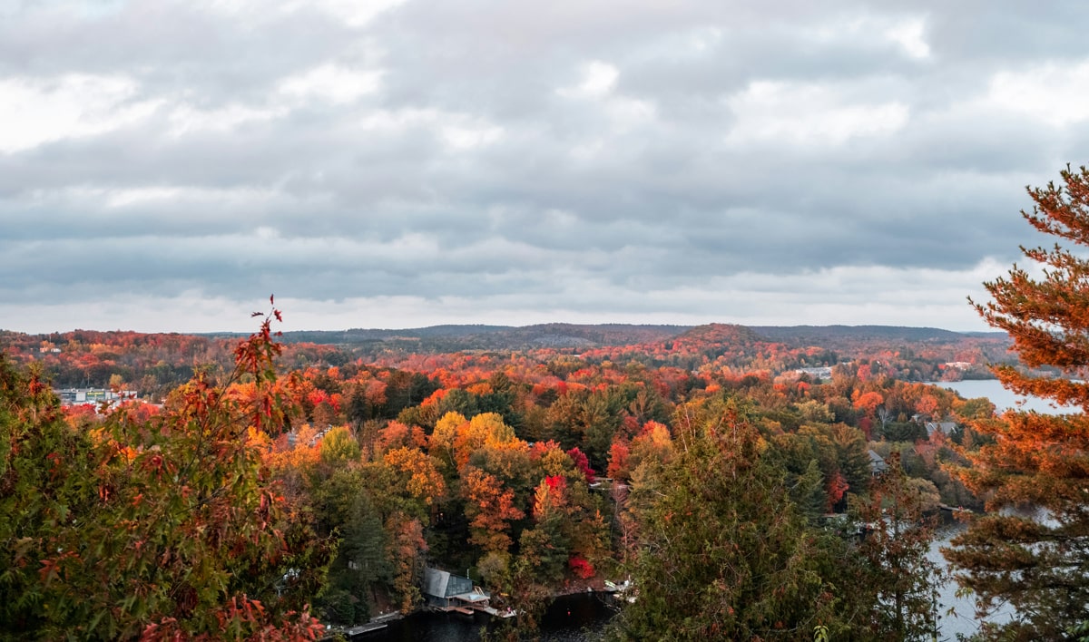 Fall Colours Are Peaking in Muskoka - Where to go - Toronto Times